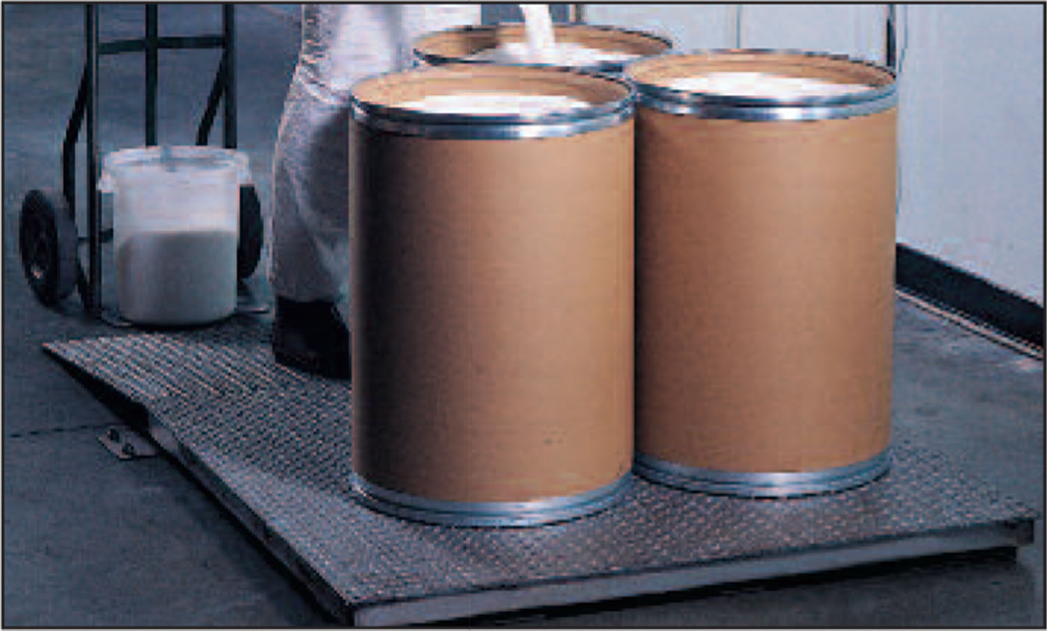 Rentals - Champion Scale